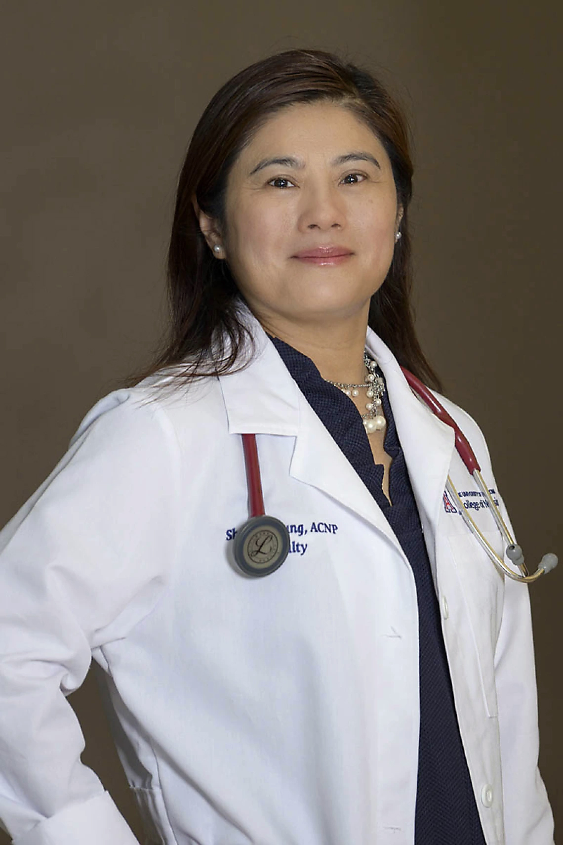Shu-Fen Wung, nursing science innovator, helps secure Big Idea Challenge award | University of ...